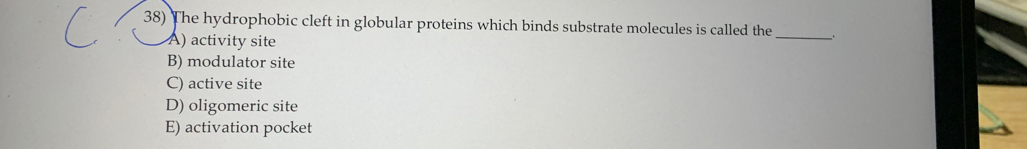 Solved The hydrophobic cleft in globular proteins which | Chegg.com