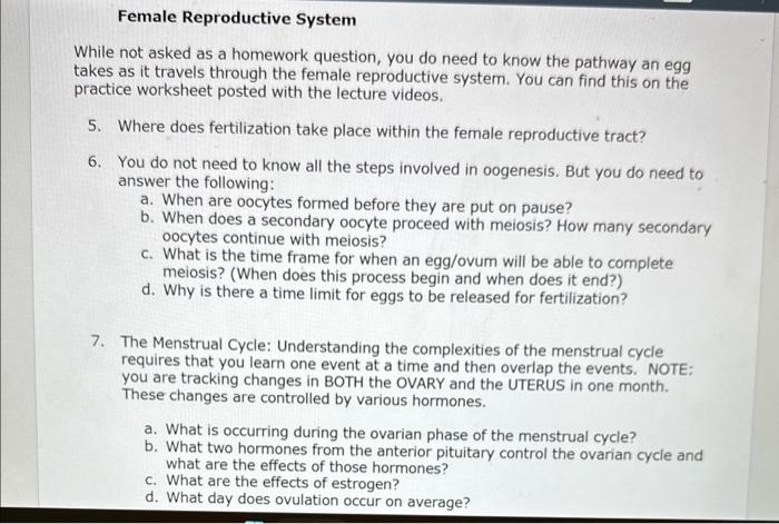 Solved Female Reproductive System While not asked as a | Chegg.com