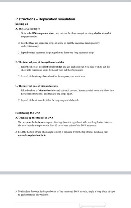 Solved DNA Replication Activity Instructions: Answer the | Chegg.com