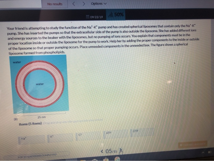 Solved No results > Options 09/22/19 A 50% Your friend is | Chegg.com