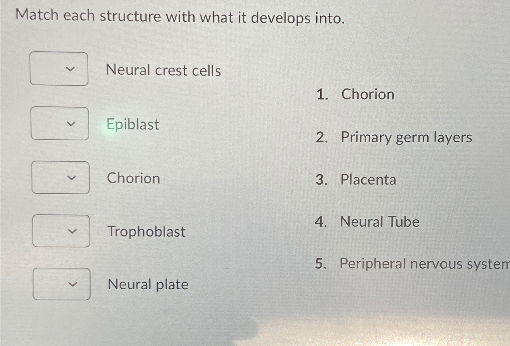Solved Match each structure with what it develops | Chegg.com
