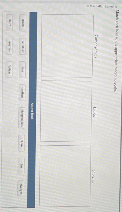 Solved Match each item to the appropriate macromolecule. | Chegg.com