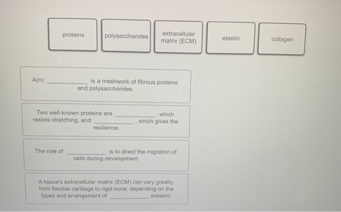 Solved proteins polysaccharides extracellular matrix (ECM) | Chegg.com