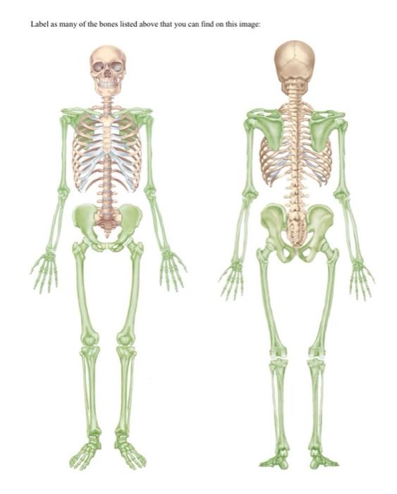 Solved provided in the lab PDF will receive credit on lab | Chegg.com