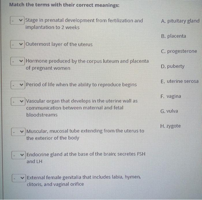 Solved Match the terms with their correct meanings: A. | Chegg.com