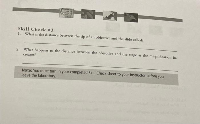 Solved Complete Skill Checks 1-3. Skill Check #1 1. What is | Chegg.com