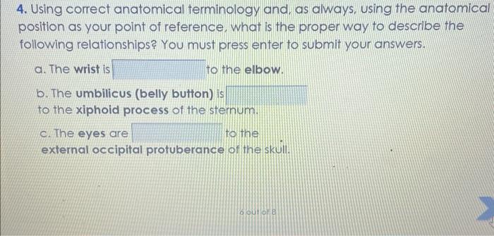 Solved 4 Using Correct Anatomical Terminology And As Chegg