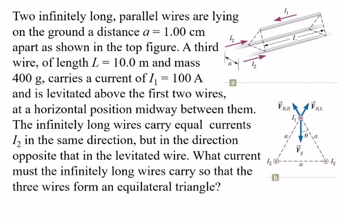 Solved Two infinitely long, parallel wires are lying on the | Chegg.com