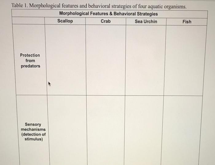 Solved ANIMAL DIVERSITY TABLE Complete Table 1 using the | Chegg.com