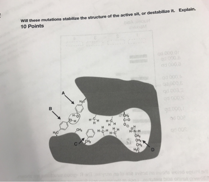 Solved 10) Let's say the image below shows an active site of | Chegg.com