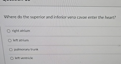Solved Where do the superior and inferior vena cavae enter | Chegg.com