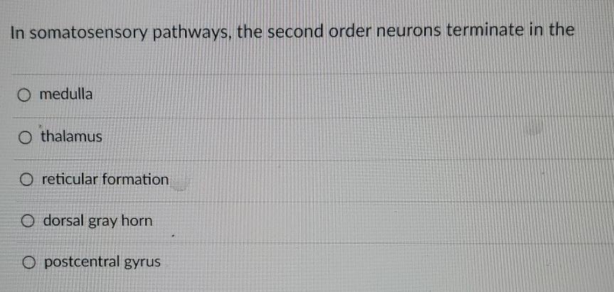 Solved In somatosensory pathways, the second order neurons | Chegg.com