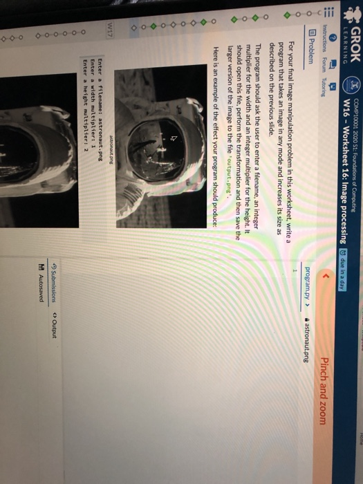 Solved Instructions Forum Tutoring program 1 OO Problem | Chegg.com