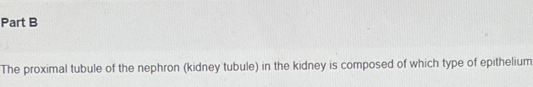 Solved The proximal tubule of the nephron (kidney tubule) | Chegg.com