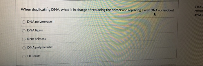 Solved When duplicating DNA, what is in charge of replacing | Chegg.com