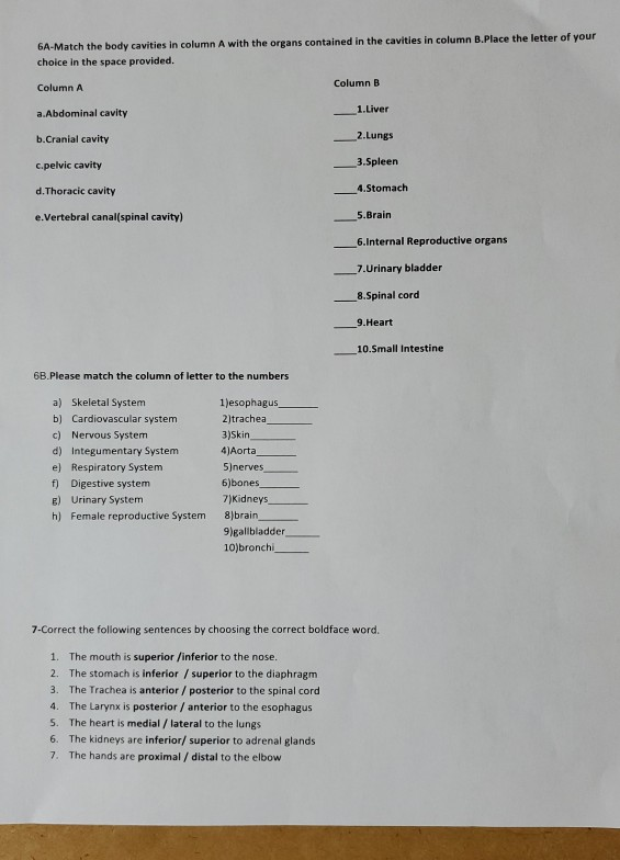 Solved 5a)-Identification of the following organ systems | Chegg.com