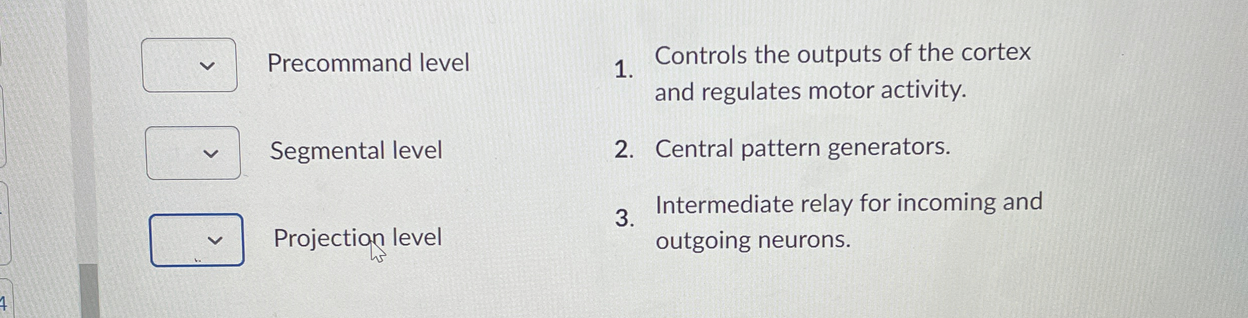 Solved ﻿Precommand level ﻿Segmental level ﻿Projection | Chegg.com