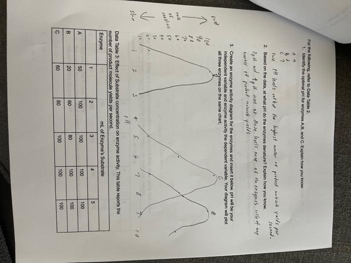 2. Create an enzyme activity diagram for the enzymes | Chegg.com