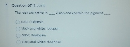 Solved Question 67 (1 ﻿point)The rods are active in q, | Chegg.com