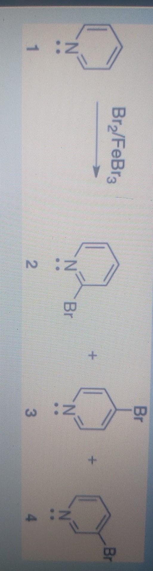 Solved What is the major product of bromination of pyridine | Chegg.com