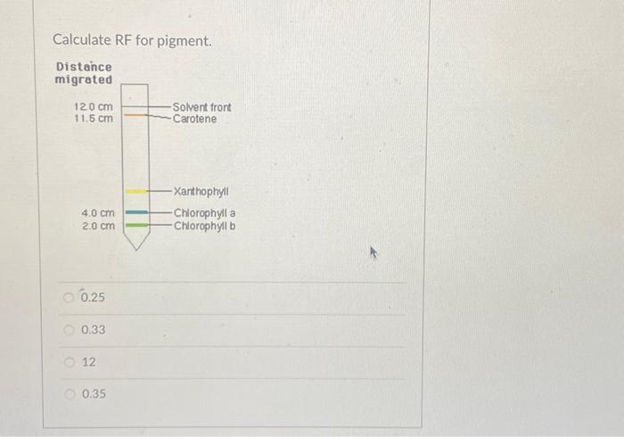 Solved Calculate RF for pigment. 0.25 0.33 12 0.35 | Chegg.com