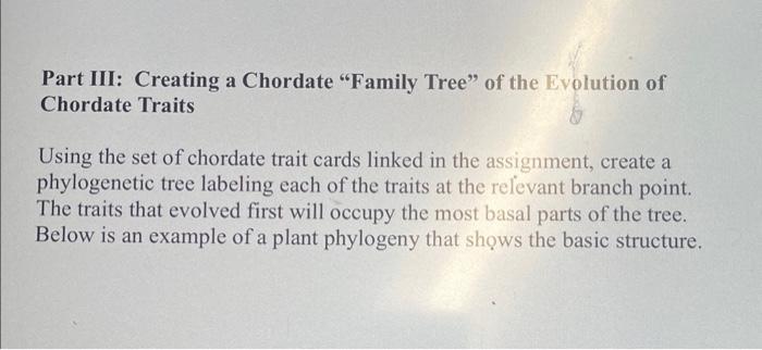 Solved Part III: Creating a Chordate "Family Tree" of the | Chegg.com