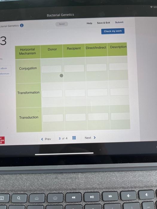 Solved Bacterial Genetics Conjugation Transformation | Chegg.com