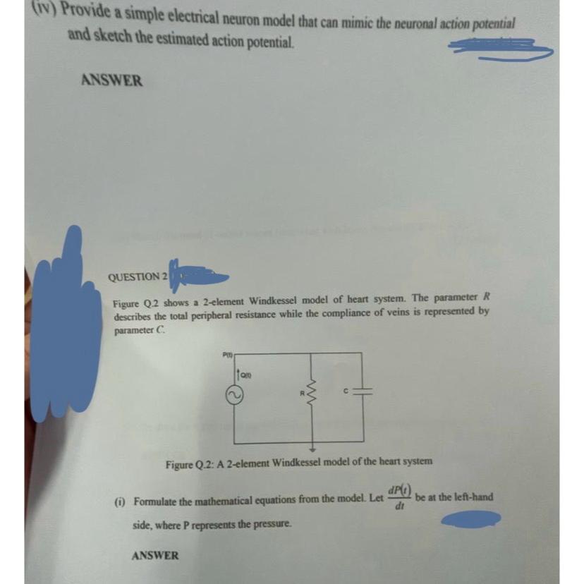 Solved Solve iv(iv) ﻿Provide a simple electrical neuron | Chegg.com