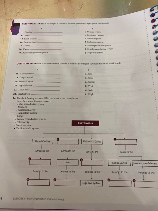 Solved Lab Section EXERCISE 1 REVIEW SHEET Body Organization Chegg Solved Lab Section EXERCISE 1 REVIEW SHEET Body Organization Chegg