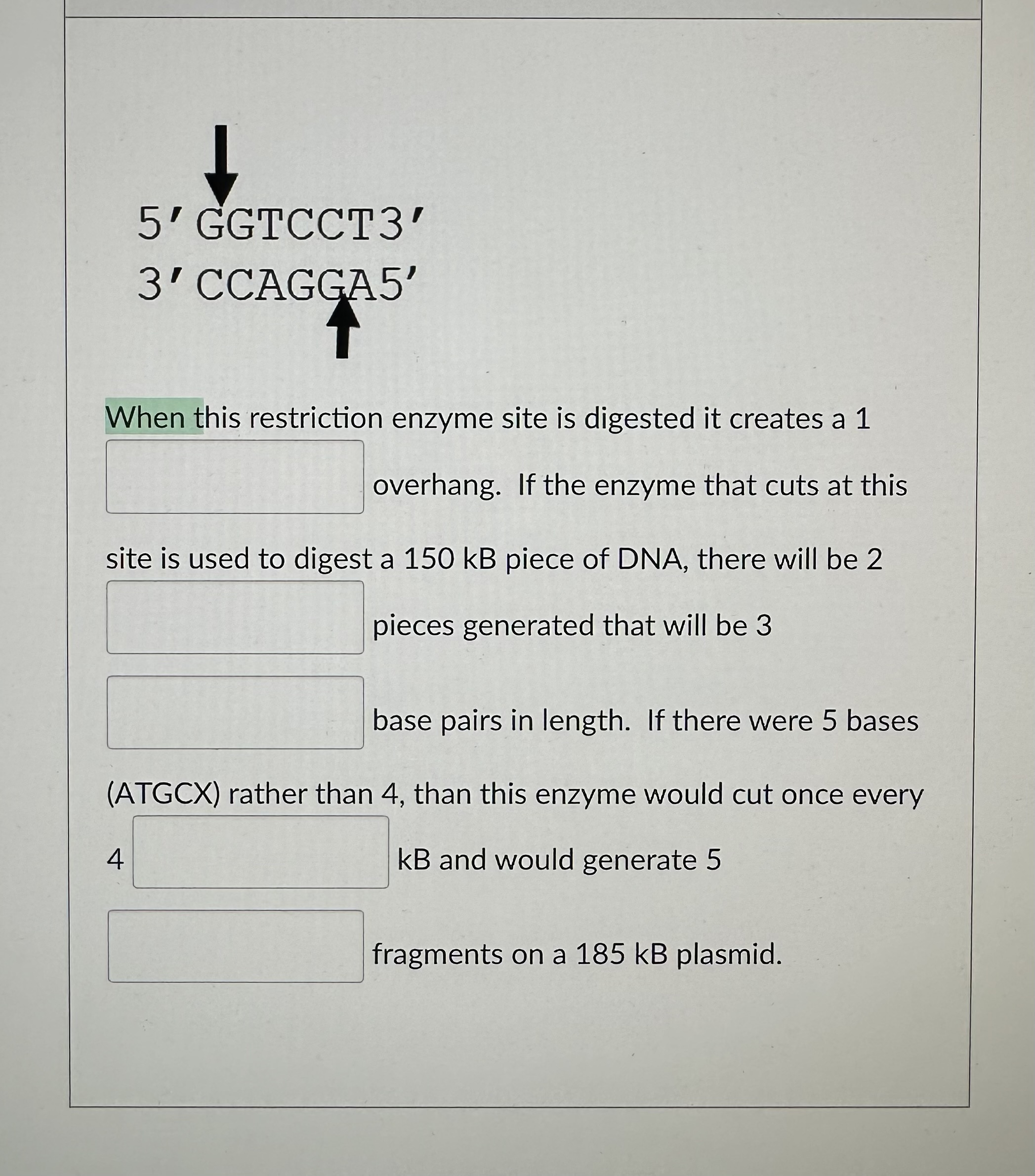 Solved When this restriction enzyme site is digested it | Chegg.com