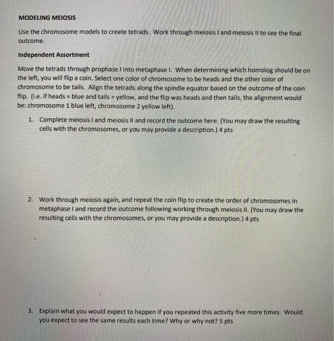 MODELING MEIOSIS Use the chromosome models to create | Chegg.com