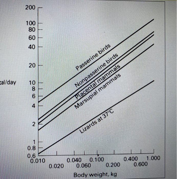 Solved 1) Below is a graph of the metabolic rate (kcal/day) | Chegg.com