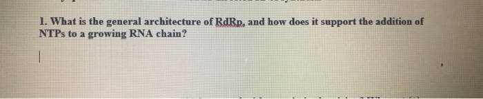 Solved 1. What is the general architecture of RdRr, and how | Chegg.com
