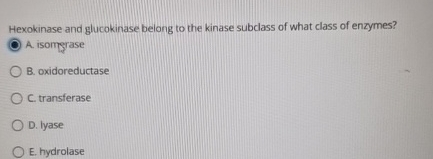 Solved Hexokinase and glucokinase belong to the kinase | Chegg.com
