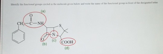 Solved Identify the functional groups circled in the | Chegg.com