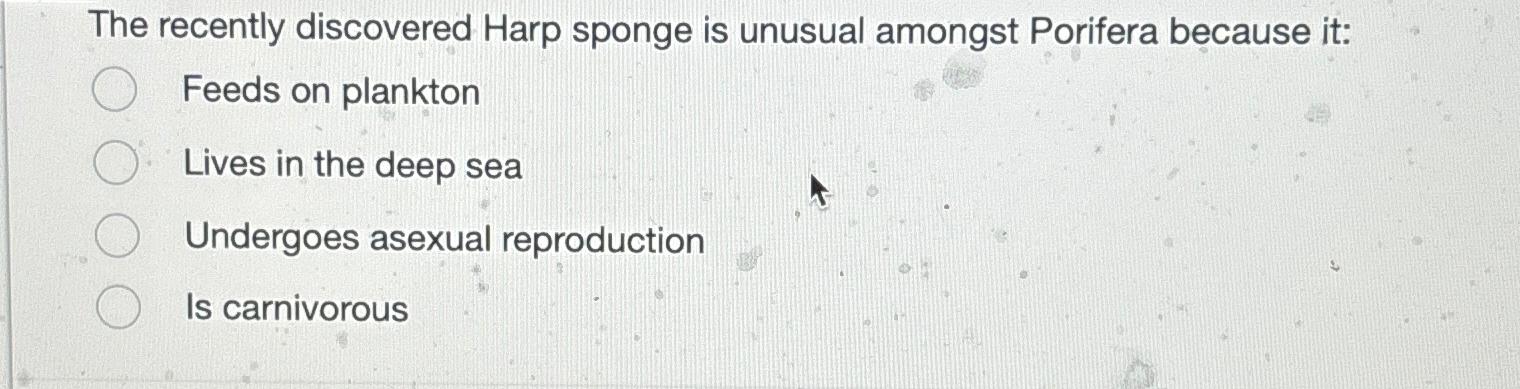 Solved The recently discovered Harp sponge is unusual | Chegg.com
