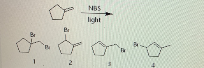 Solved NBS light Br Br BE Br Br 1 2 3 4 | Chegg.com
