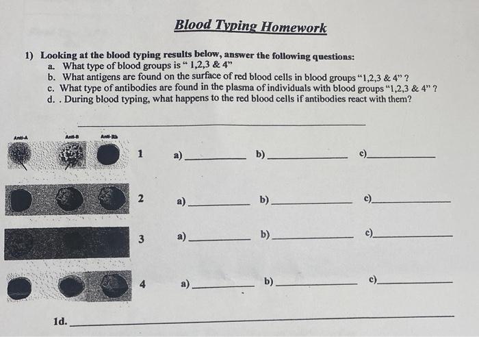 Solved Looking at the blood typing results below, answer the | Chegg.com