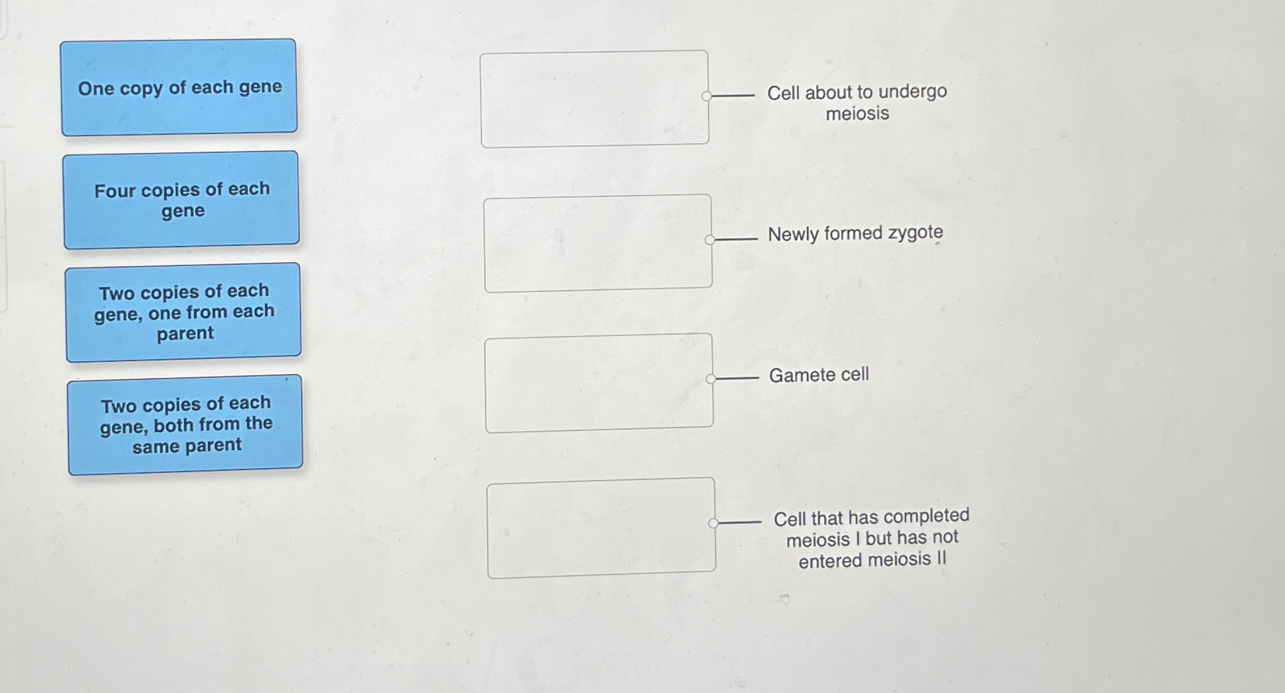 Solved One copy of each geneTwo copies of each gene, one | Chegg.com