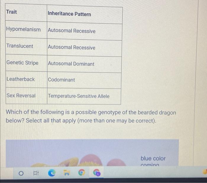 Solved Trait Inheritance Pattern Hypomelanism Autosomal | Chegg.com