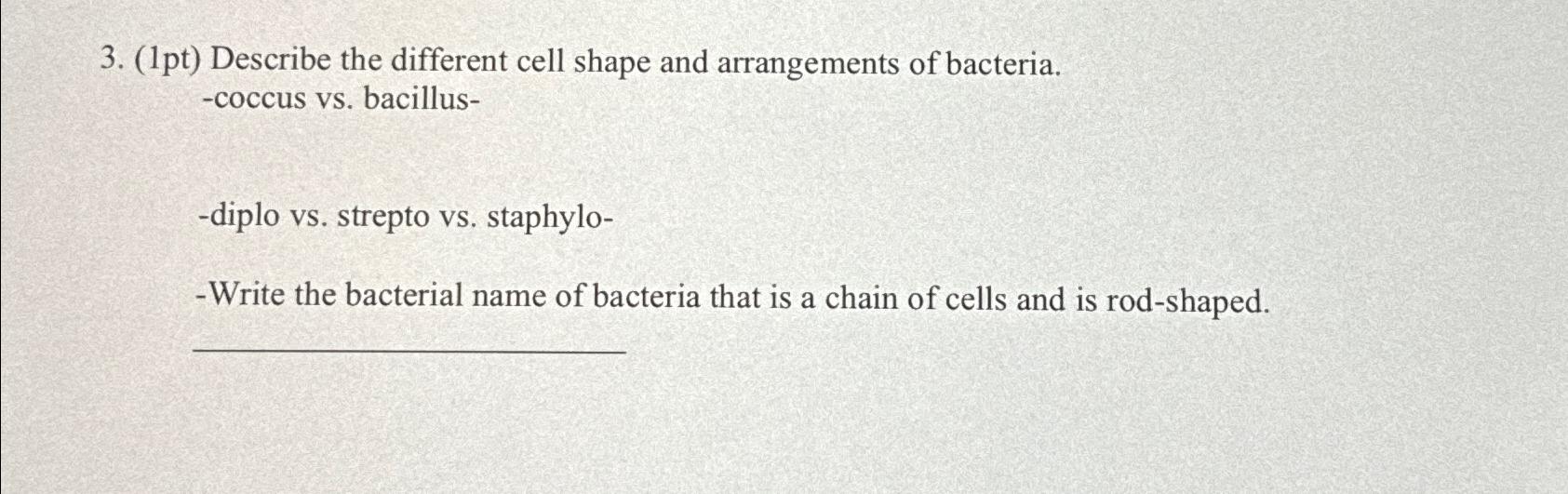 Solved (1pt) ﻿Describe the different cell shape and | Chegg.com