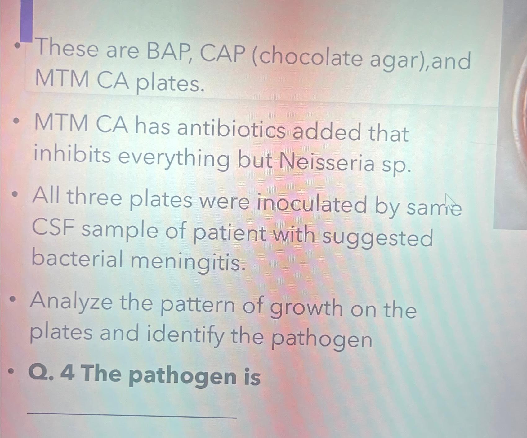 Solved These are BAP, CAP (chocolate agar), ﻿and MTM CA | Chegg.com