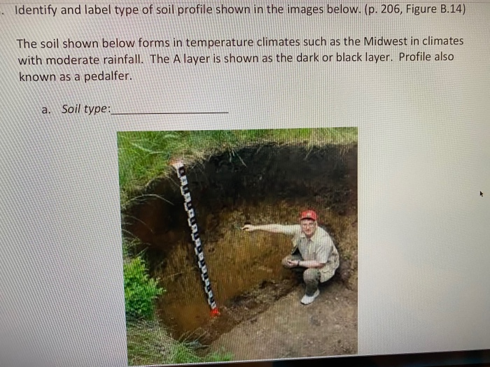 Solved Identify and label type of soil profile shown in the | Chegg.com