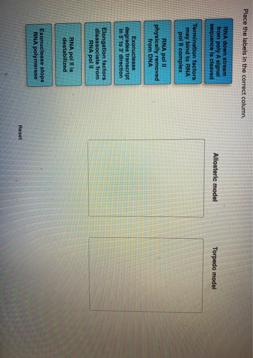 Solved Place the labels in the correct position. Some labels | Chegg.com