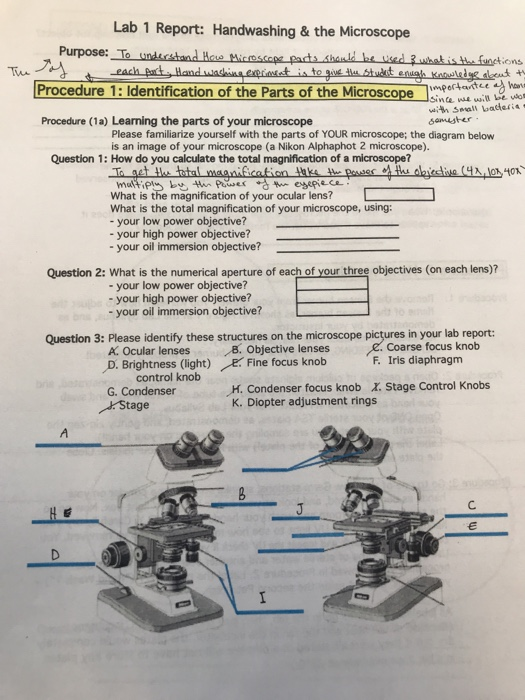 Solved Lab 1 Report: Handwashing & the Microscope Purpose: | Chegg.com
