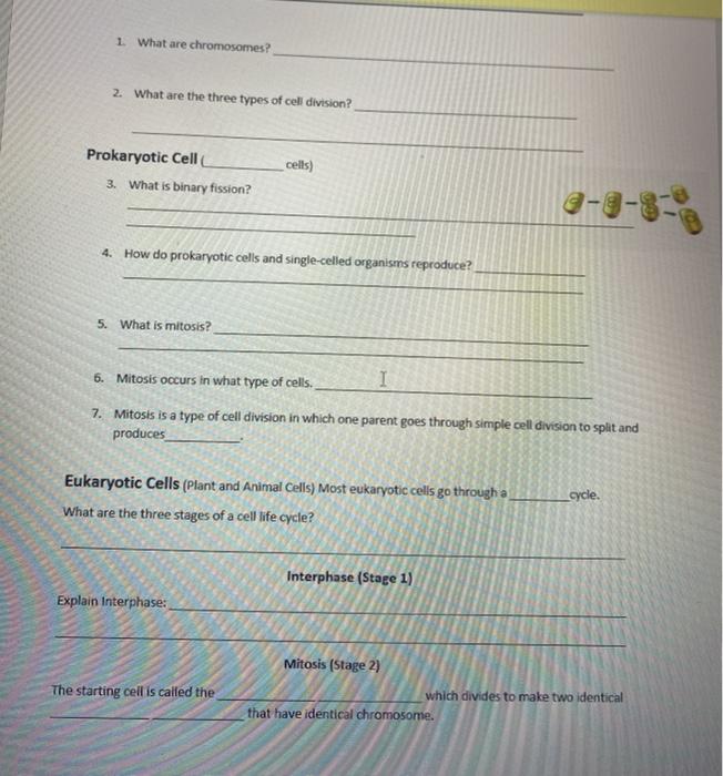 Solved PMAT and Phas Explain phase 1: Phase 2: Explain phase | Chegg.com