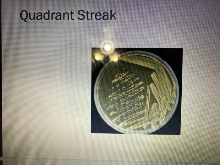 Solved I put that it the three methods were appropriate for | Chegg.com