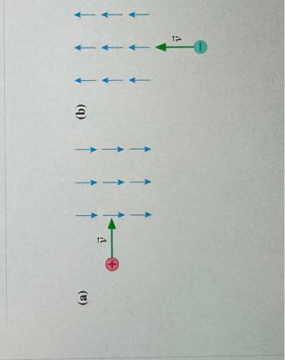 Solved What is the initial direction of deflection for the | Chegg.com