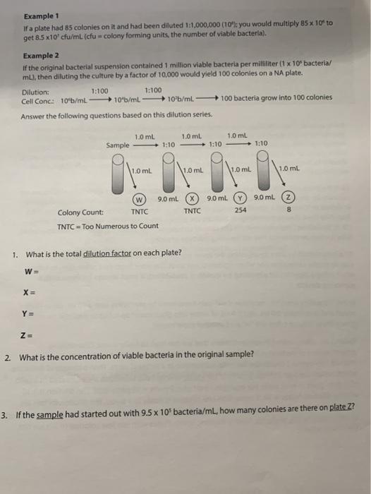 Solved EXERCISE 21 PIPETTING AND SERIAL DILUTION TECHNIQUES | Chegg.com