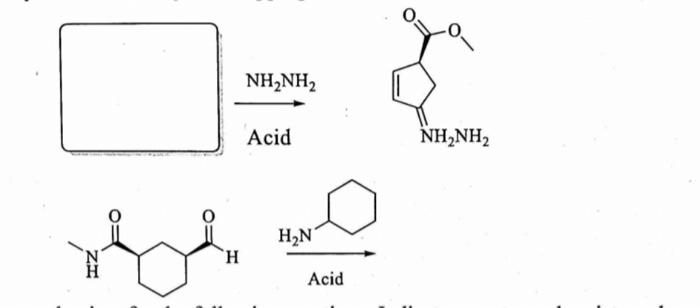 Solved NH2NH2 Acid NHANH se mund Acid | Chegg.com